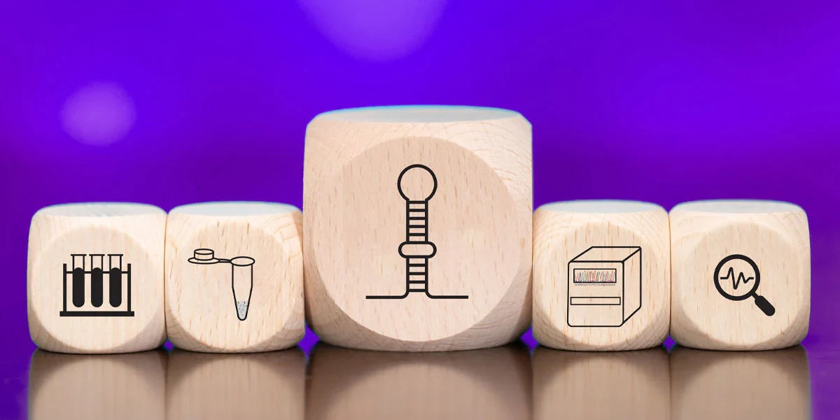 A Quick Guide to NGS-Based miRNA Profiling | ZYMO RESEARCH