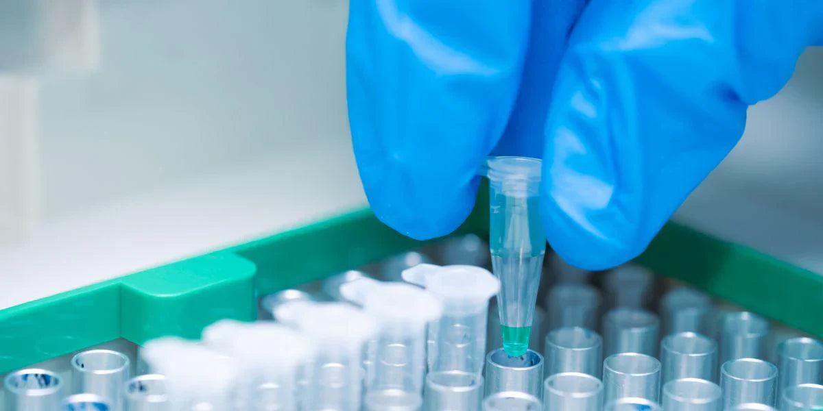 What Are PCR Inhibitors? | ZYMO RESEARCH
