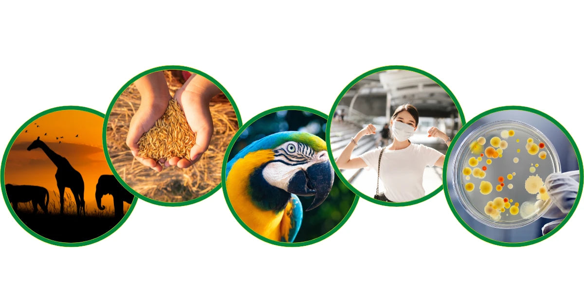 Zymo Research Omics Discovery Grant: Advance RNA-Seq Research | ZYMO ...