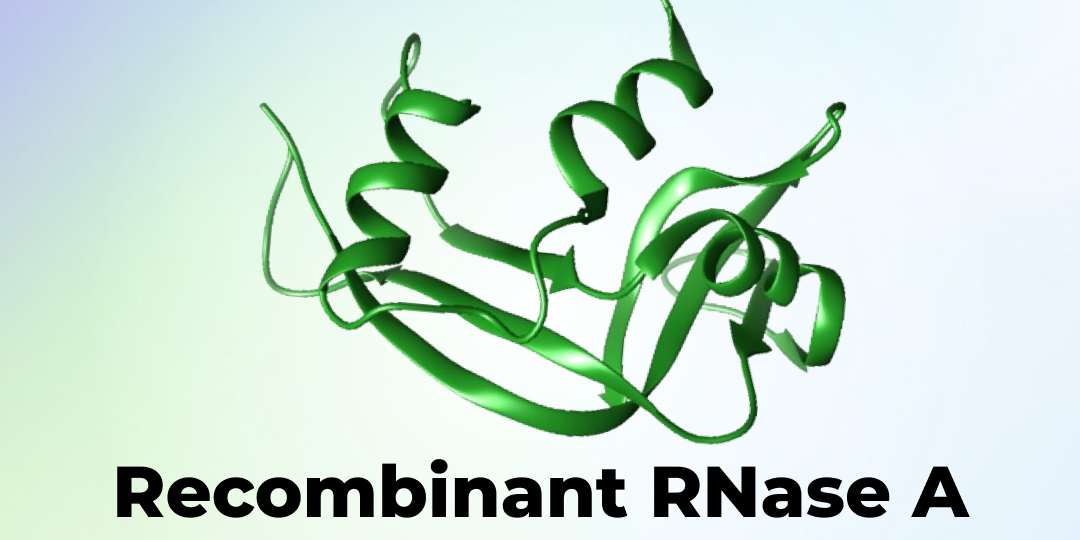 Zymo Research Pioneers a Breakthrough in Large-scale Animal-free RNase ...
