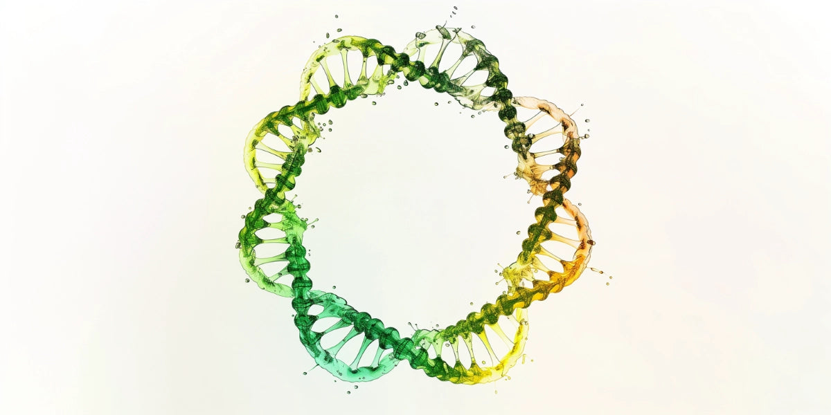 Crash Course: Plasmid DNA Fundamentals | ZYMO RESEARCH