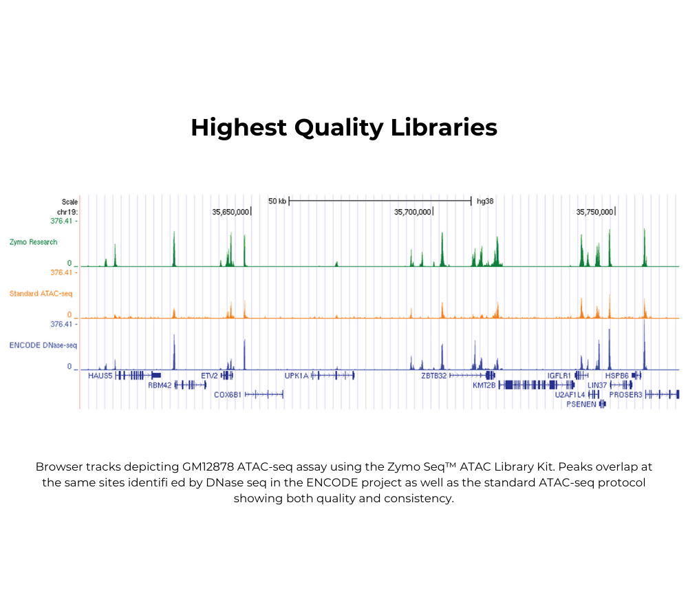 Zymo-Seq ATAC Library Kit - ATAC Sequencing Library Preparation