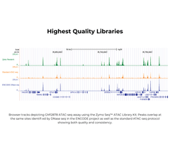 Zymo-Seq ATAC Library Kit - ATAC Sequencing Library Preparation