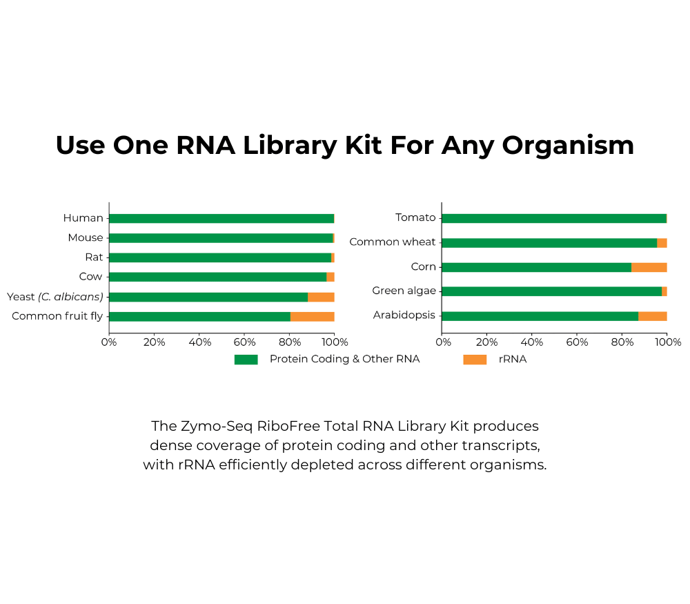 Zymo-Seq RiboFree Total RNA Library Kit - RNA-Seq Library Prep