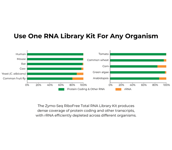 Zymo-Seq RiboFree Total RNA Library Kit - RNA-Seq Library Prep