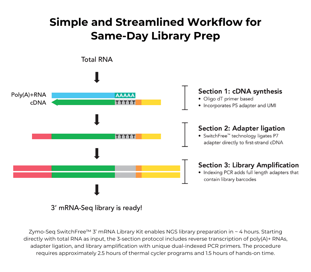 Zymo-Seq SwitchFree 3′ mRNA Library Kit | ZYMO RESEARCH