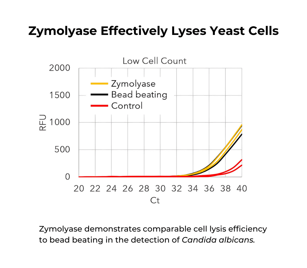 Zymolyase Yeast Lytic Enzyme | ZYMO RESEARCH