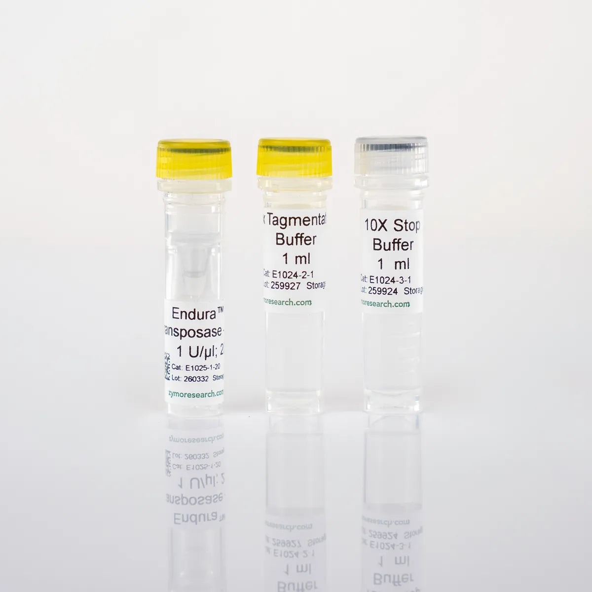 Endura Tn5 Transposase - Loaded | ZYMO RESEARCH