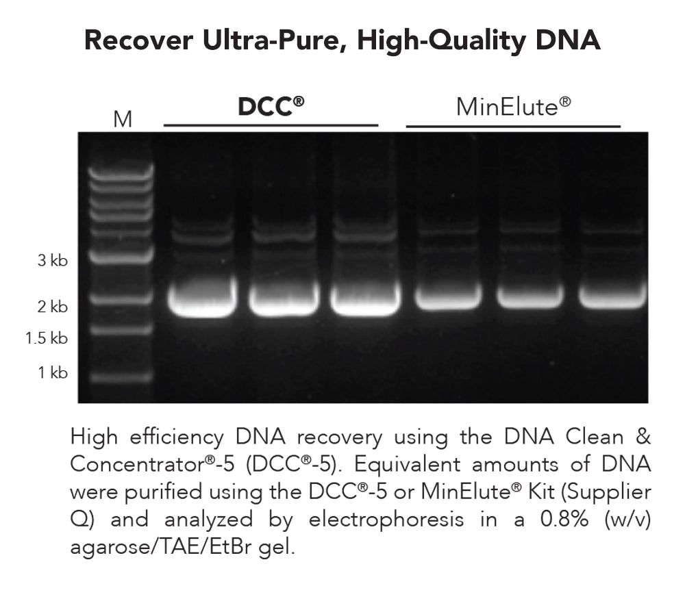 ZR-96 DNA Clean & Concentrator-5 (Deep Well)