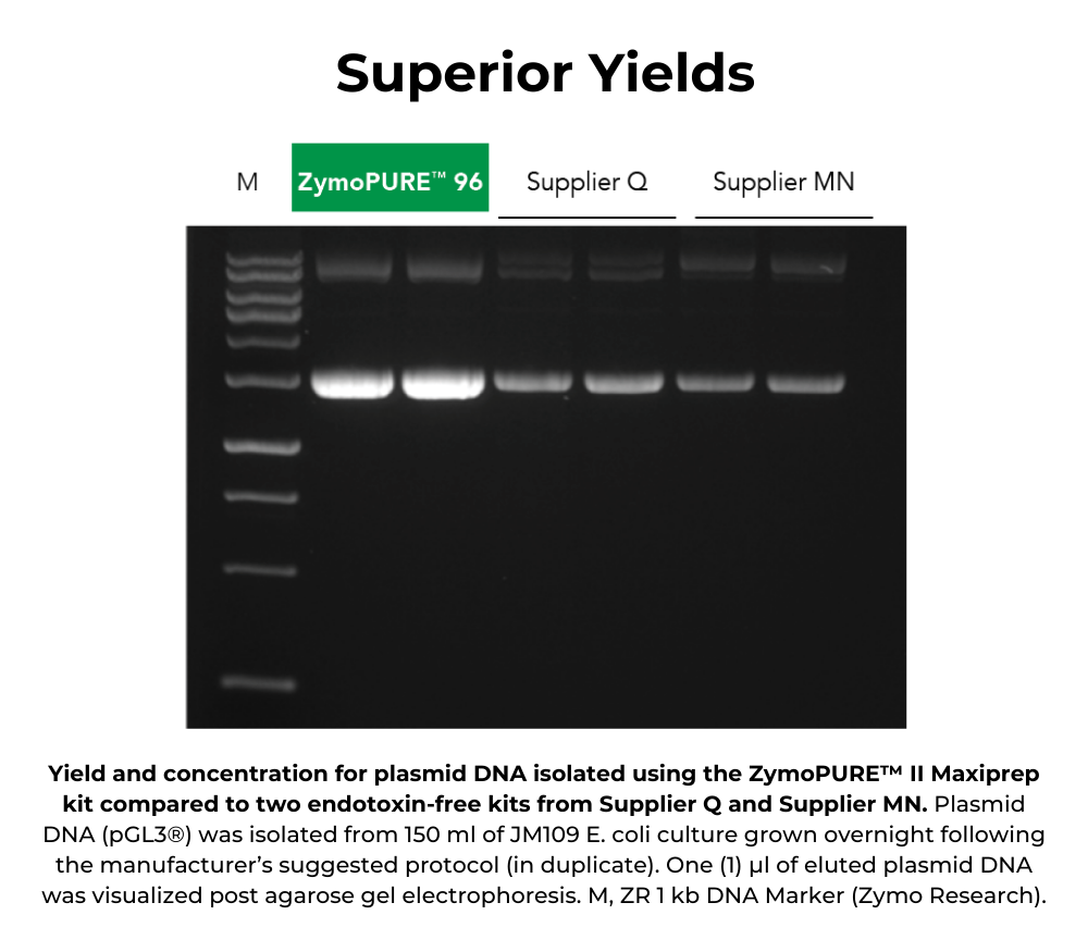 ZymoPURE II Plasmid Midiprep Kit – Get a Free Sample Today