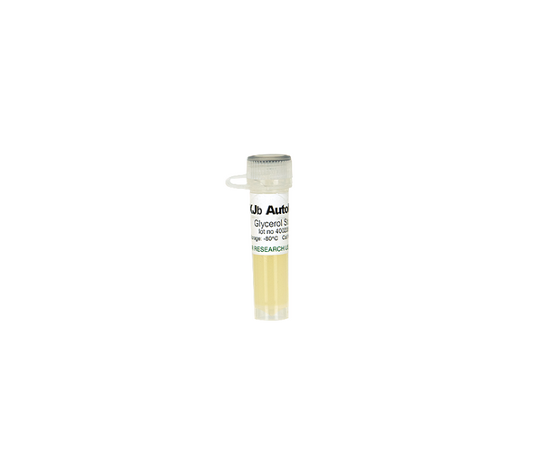 XJb (DE) Autolysis Glycerol Stock | ZYMO RESEARCH